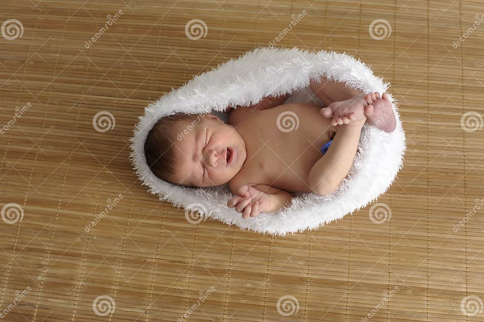 Newborn baby in a cocoon stock image. Image of cocoon - 24793565