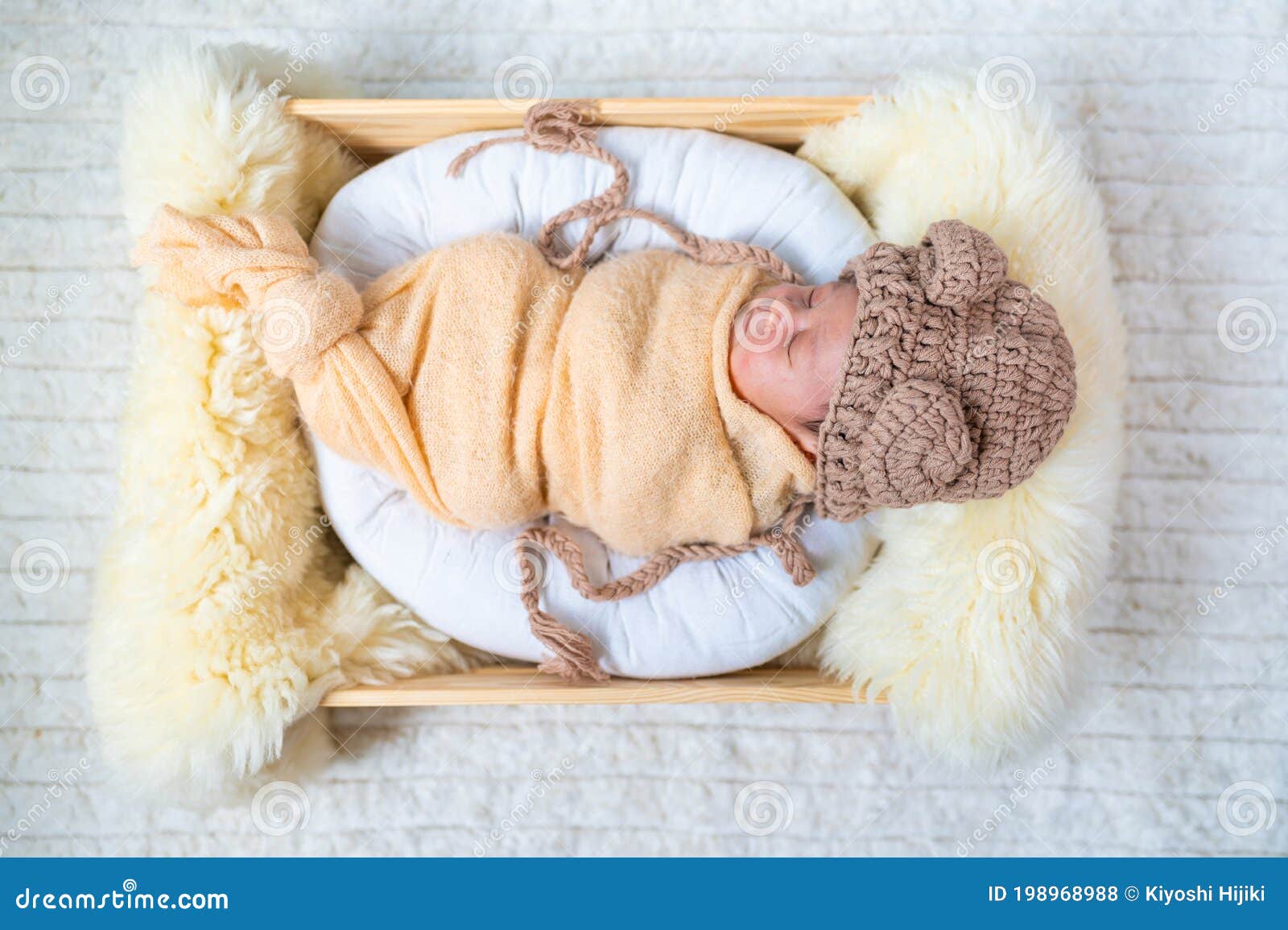 Newborn Baby in Costume Sleeping in Baby Case Stock Photo - Image of ...