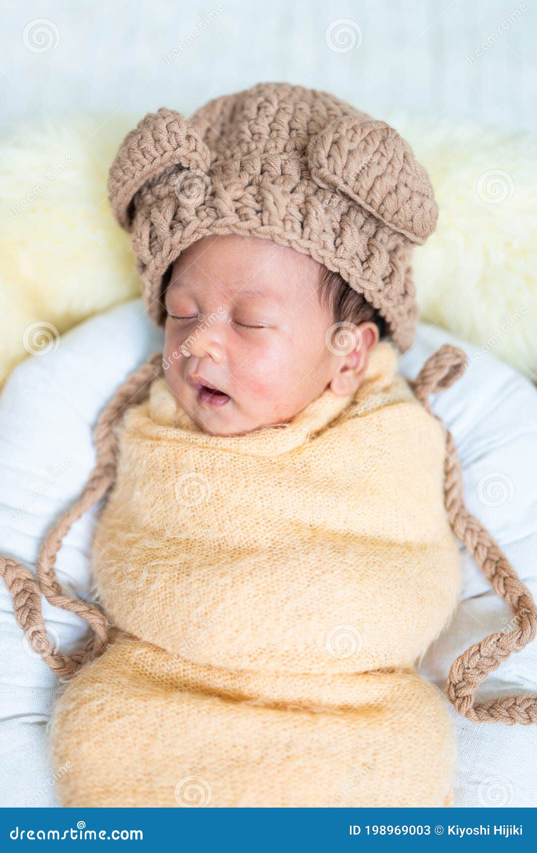 Newborn Baby in Costume Sleeping in Baby Case Stock Image - Image of ...
