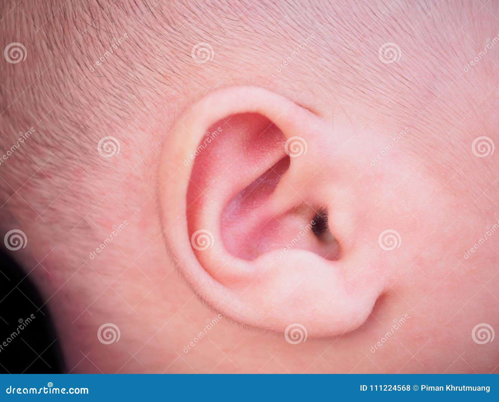 Newborn baby ear stock photo. Image of close, healthy - 111224568