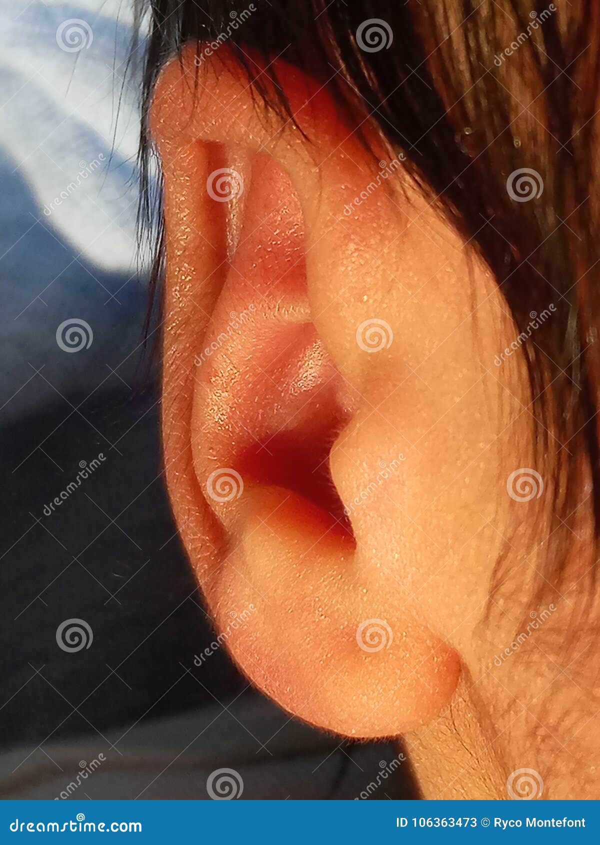 Side Perspective of a Small Ear Stock Image - Image of small, newborn ...