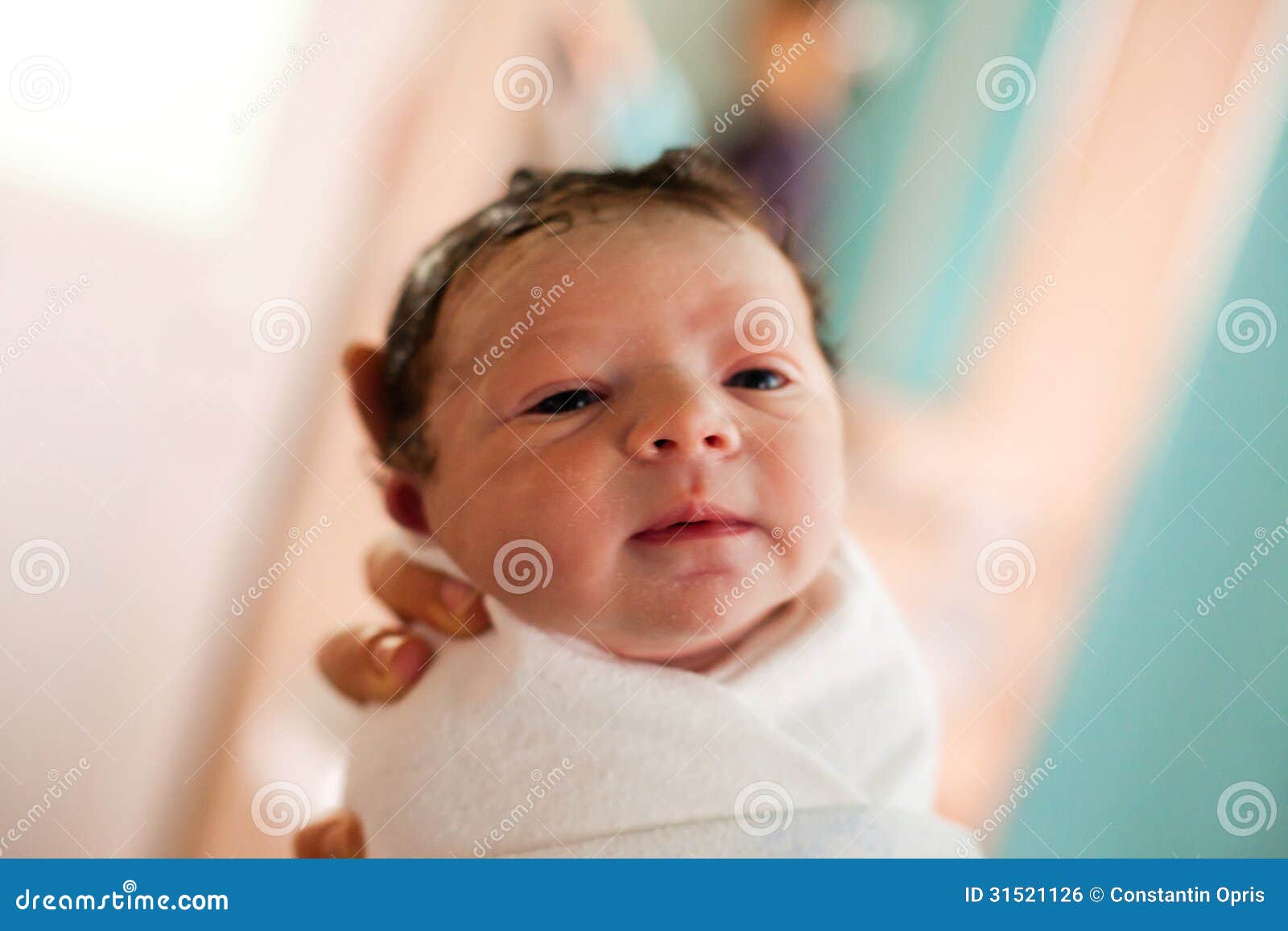 Newborn baby stock photo. Image of portrait, holding - 31521126