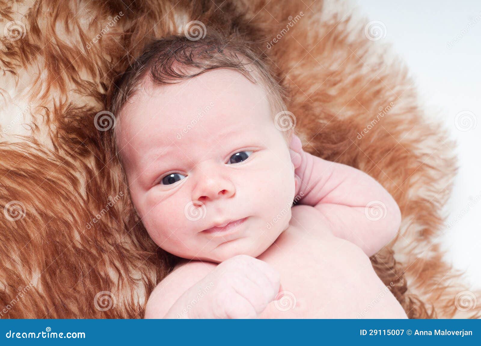 Newborn baby on fur stock image. Image of small, cute - 29115007