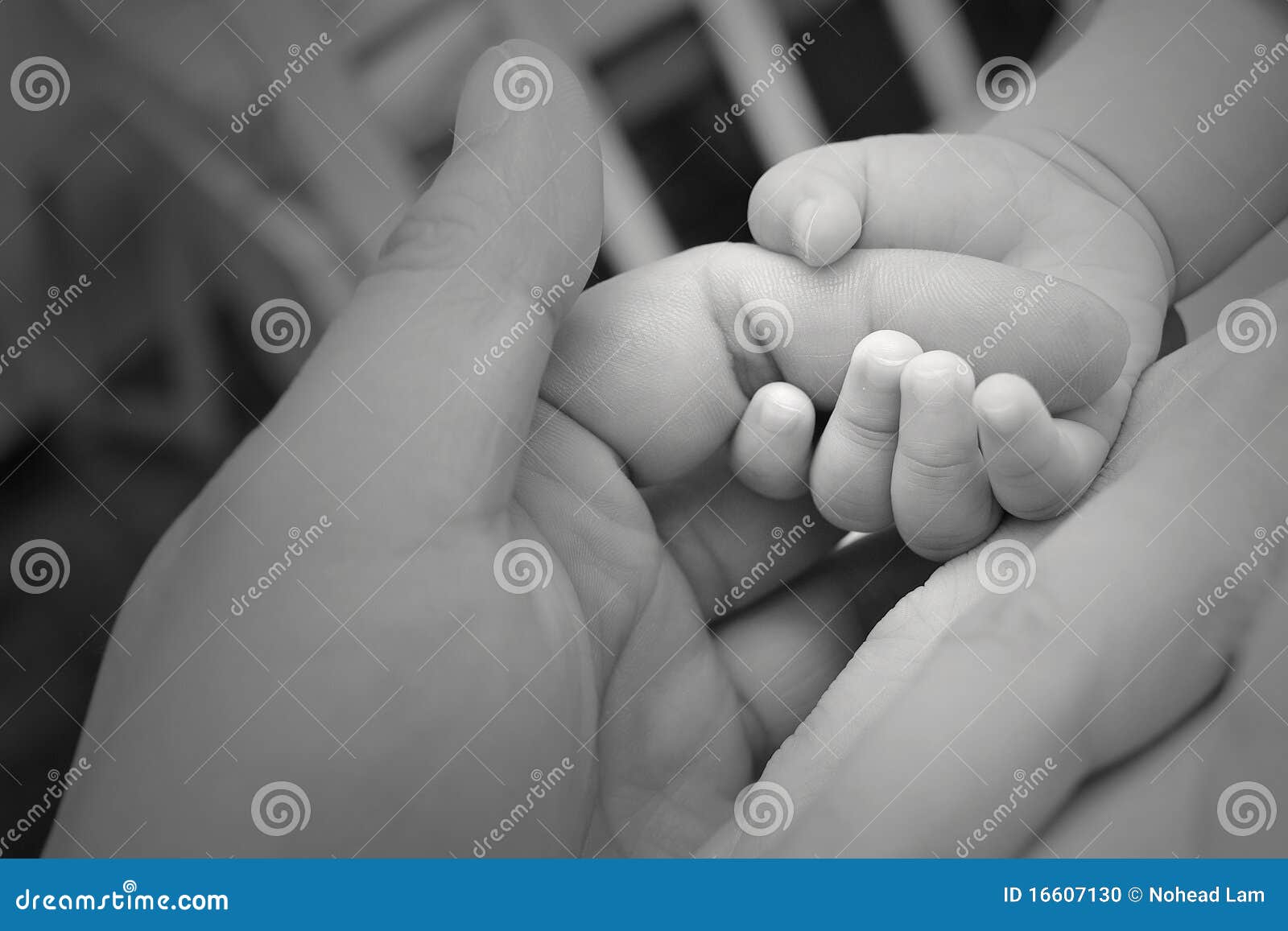 Newborn Baby Grasp stock photo. Image of love, white - 16607130