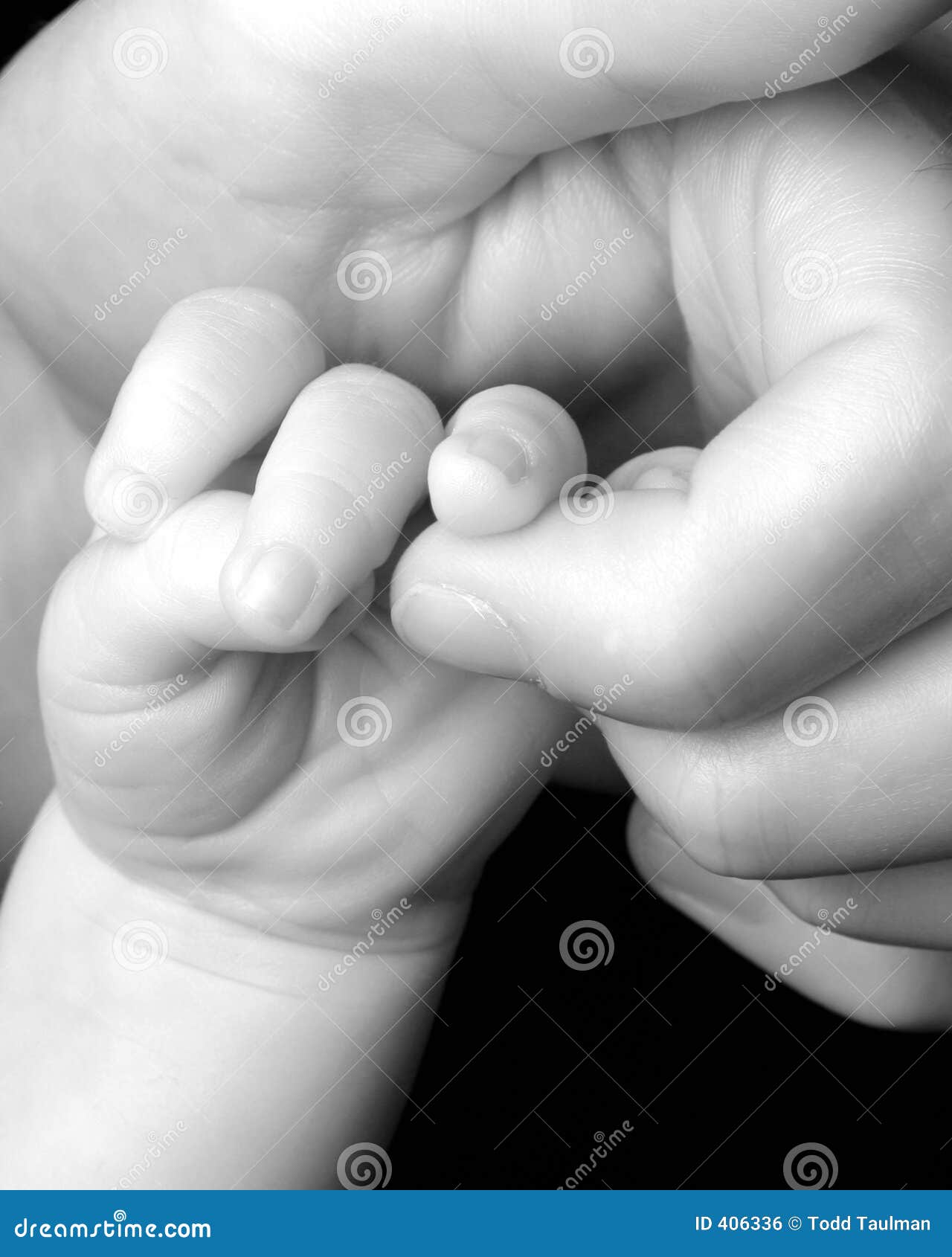 Newborn Baby Grasp stock photo. Image of father, child - 406336