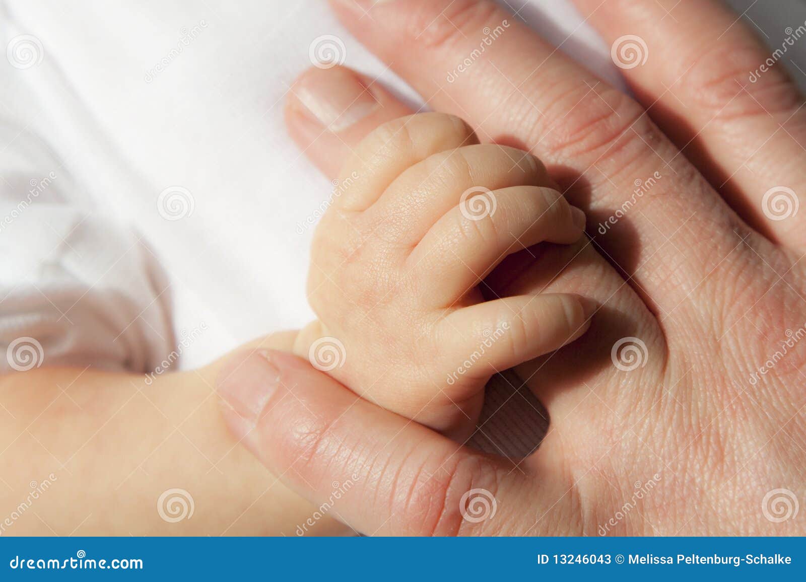 Newborn baby hand stock image. Image of parent, finger - 13246043