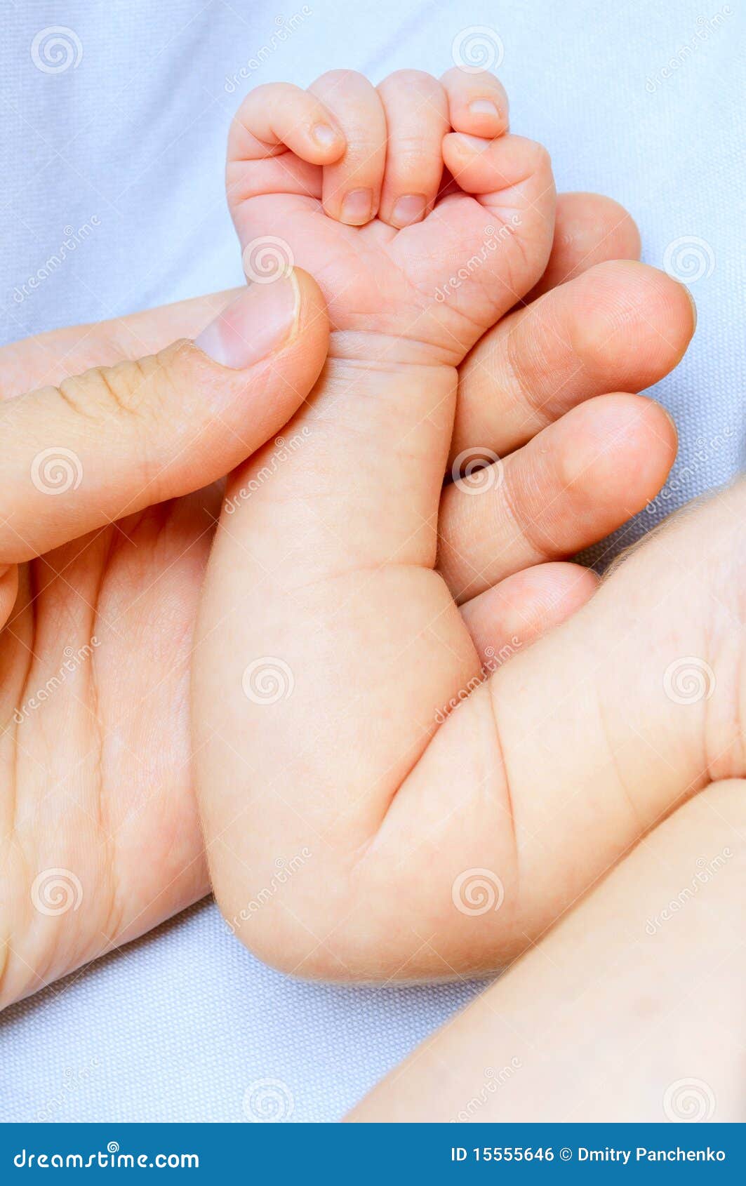 Newborn baby hand stock photo. Image of mother, girl - 15555646