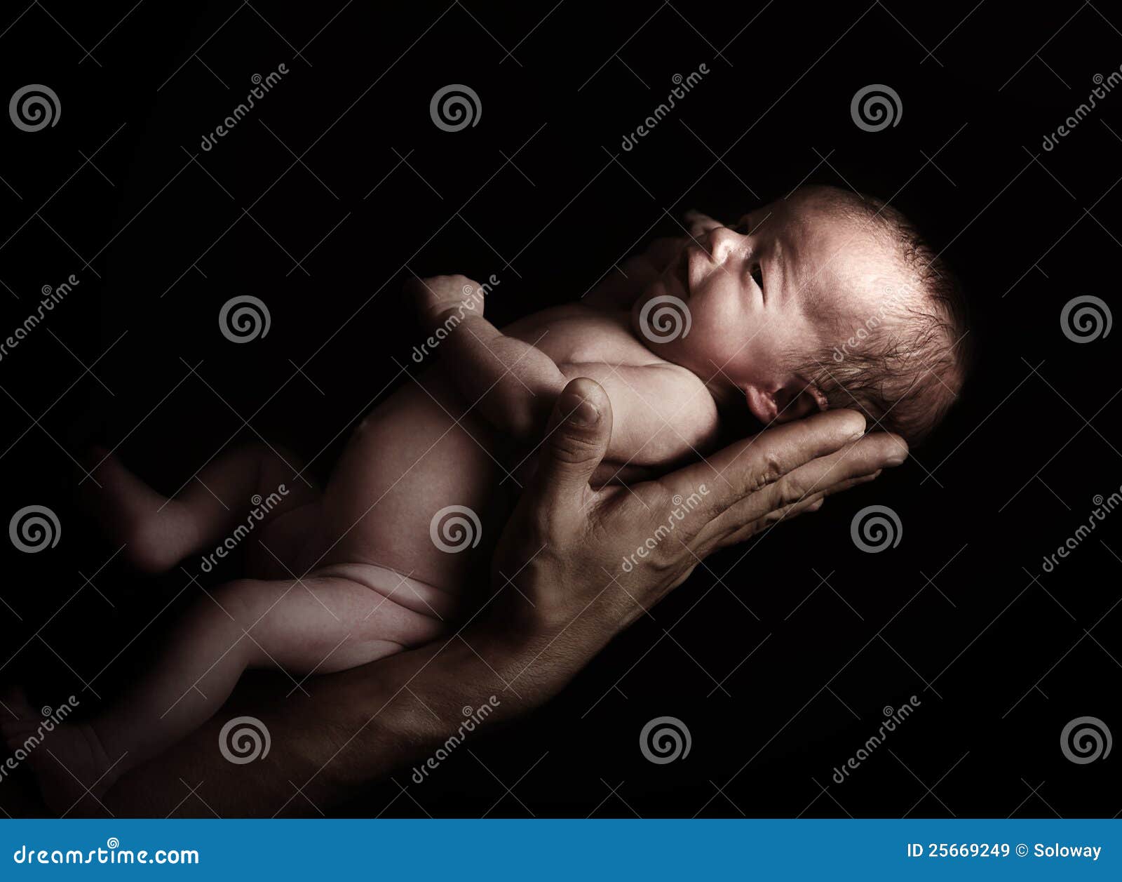 Newborn baby on hand stock image. Image of cute, family - 25669249