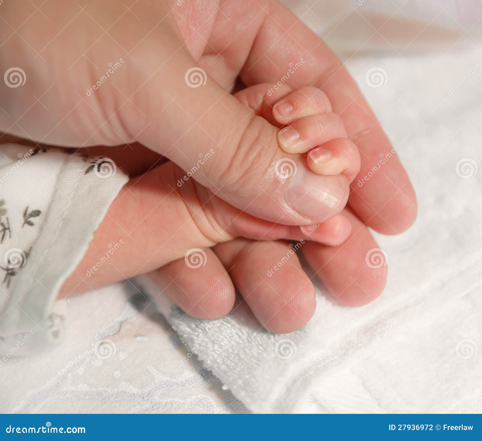 Newborn baby hand stock photo. Image of care, fondness - 27936972