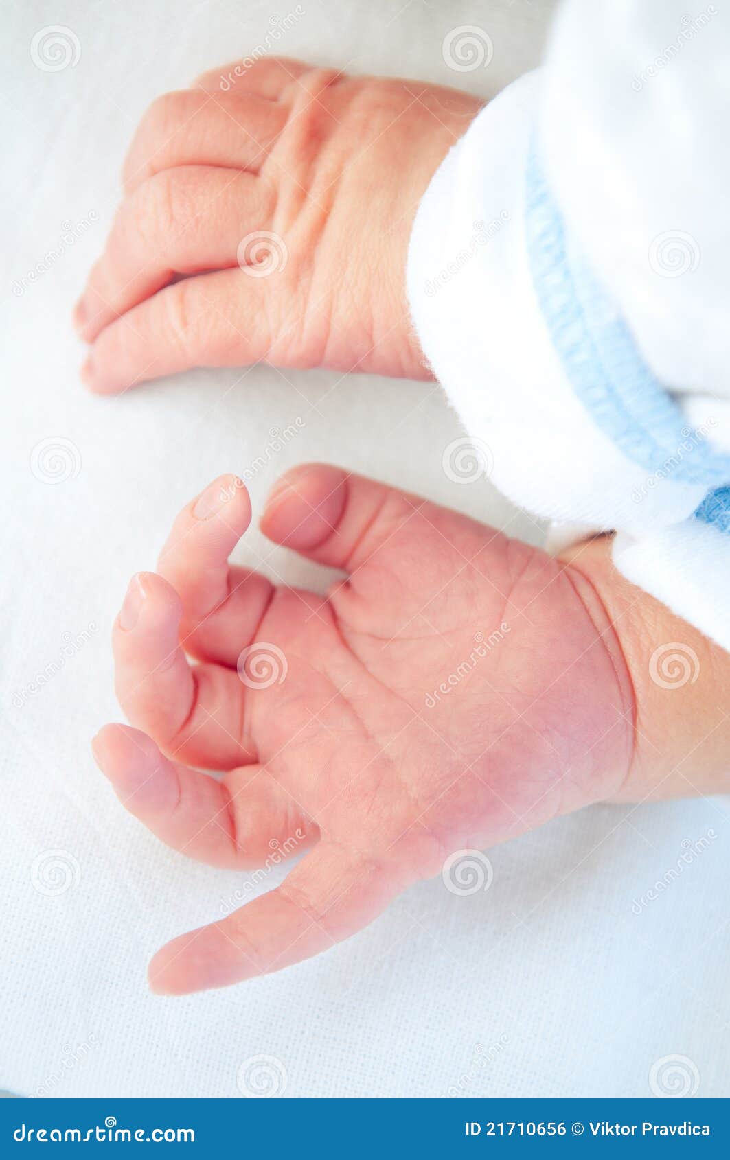 Newborn baby hands stock photo. Image of close, baby - 21710656