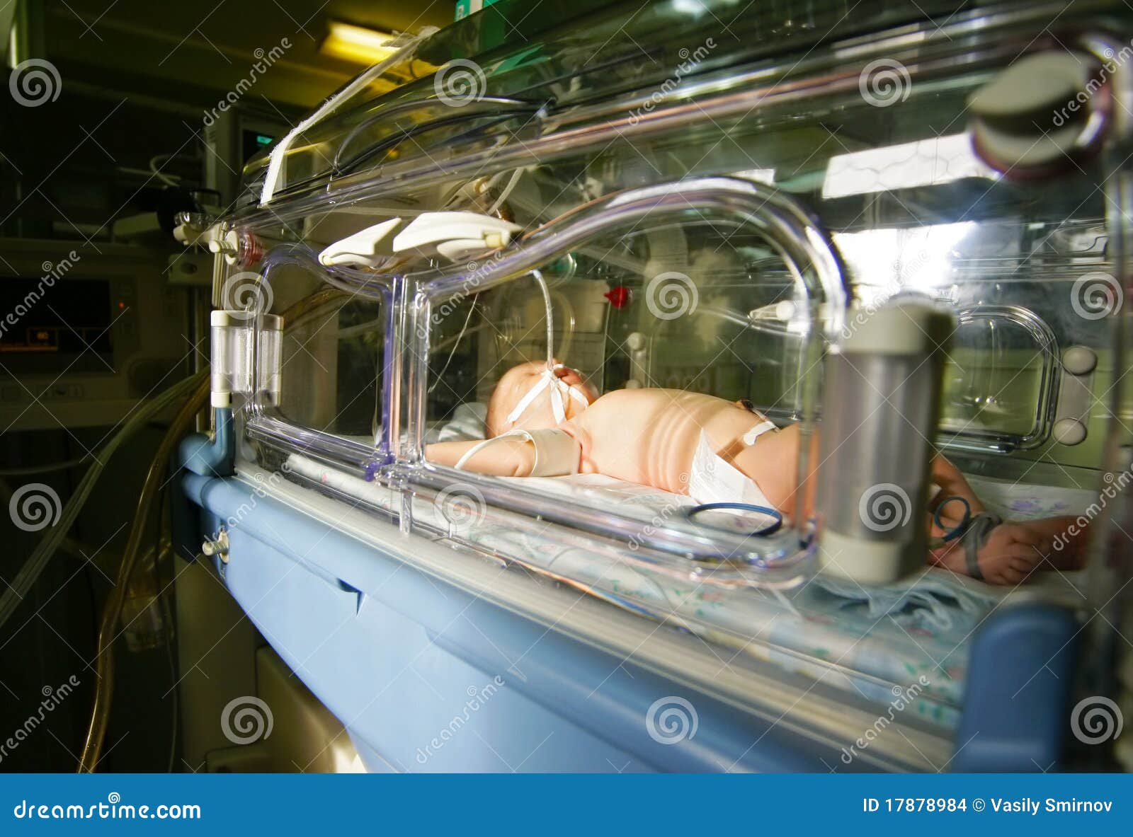 Newborn Baby in Incubator stock photo. Image of medicine - 17878984
