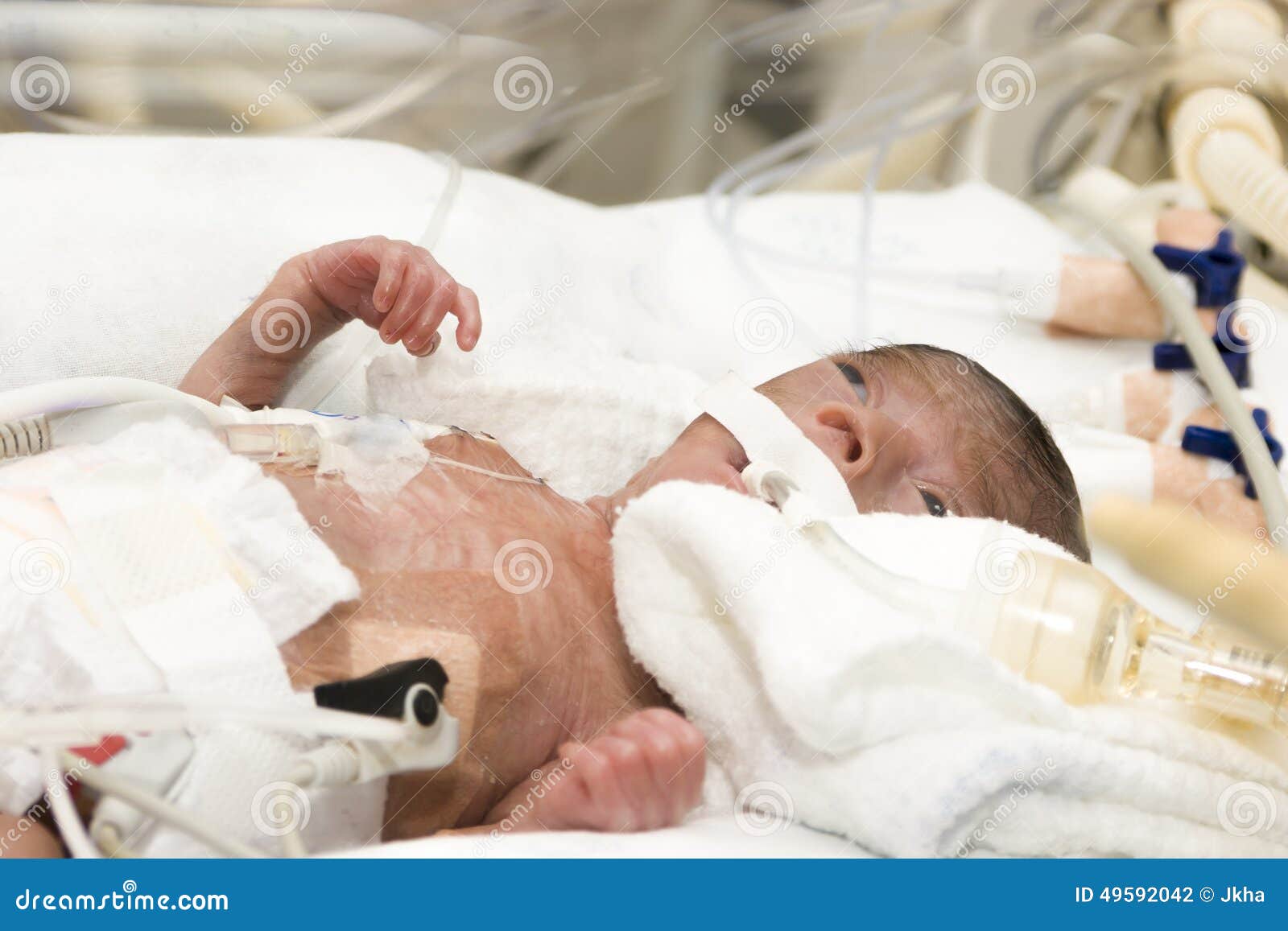 Newborn Baby Inside Incubator Stock Photo - Image of inside, born: 49592042