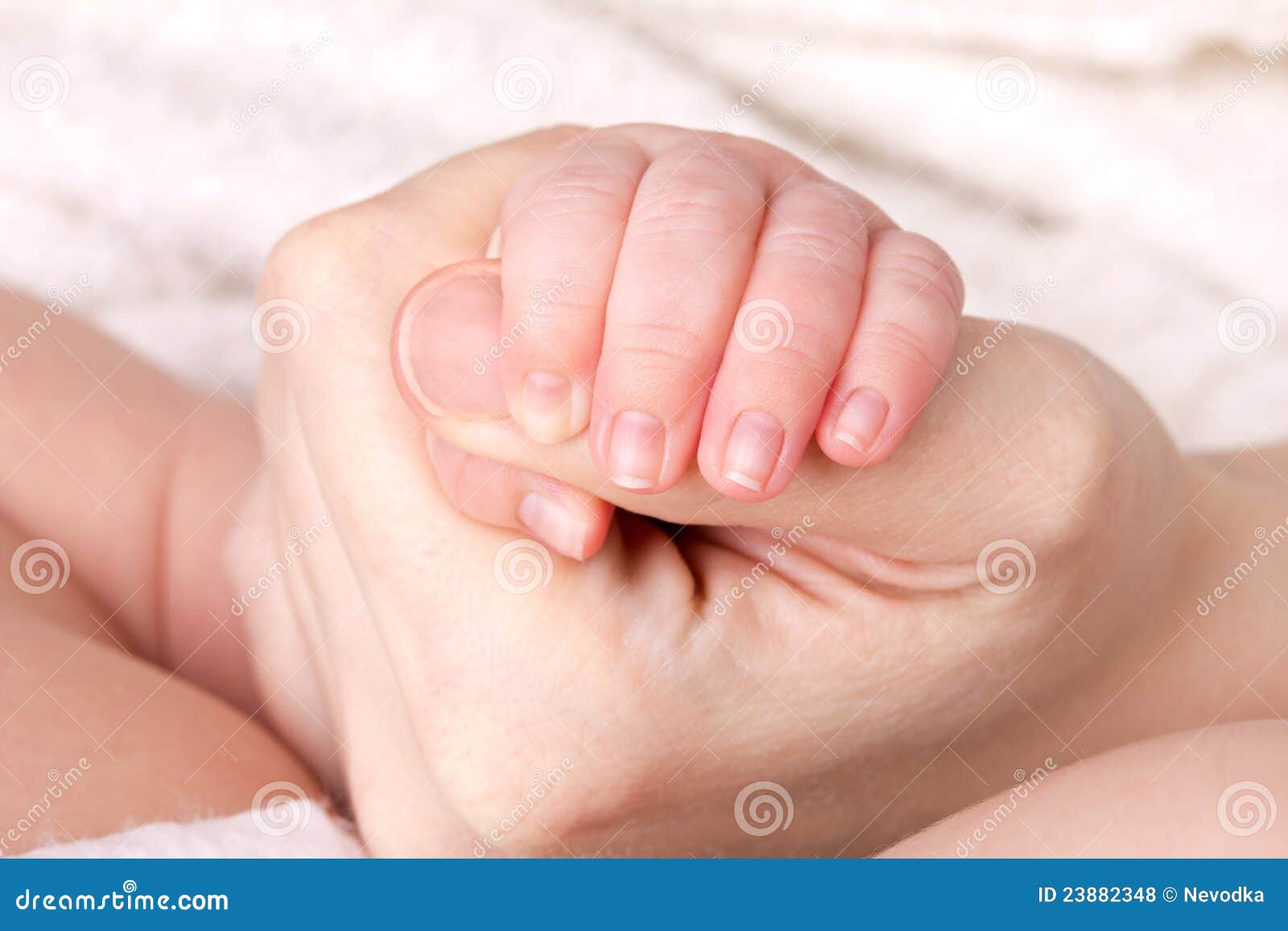 Newborn baby little hand stock photo. Image of child - 23882348