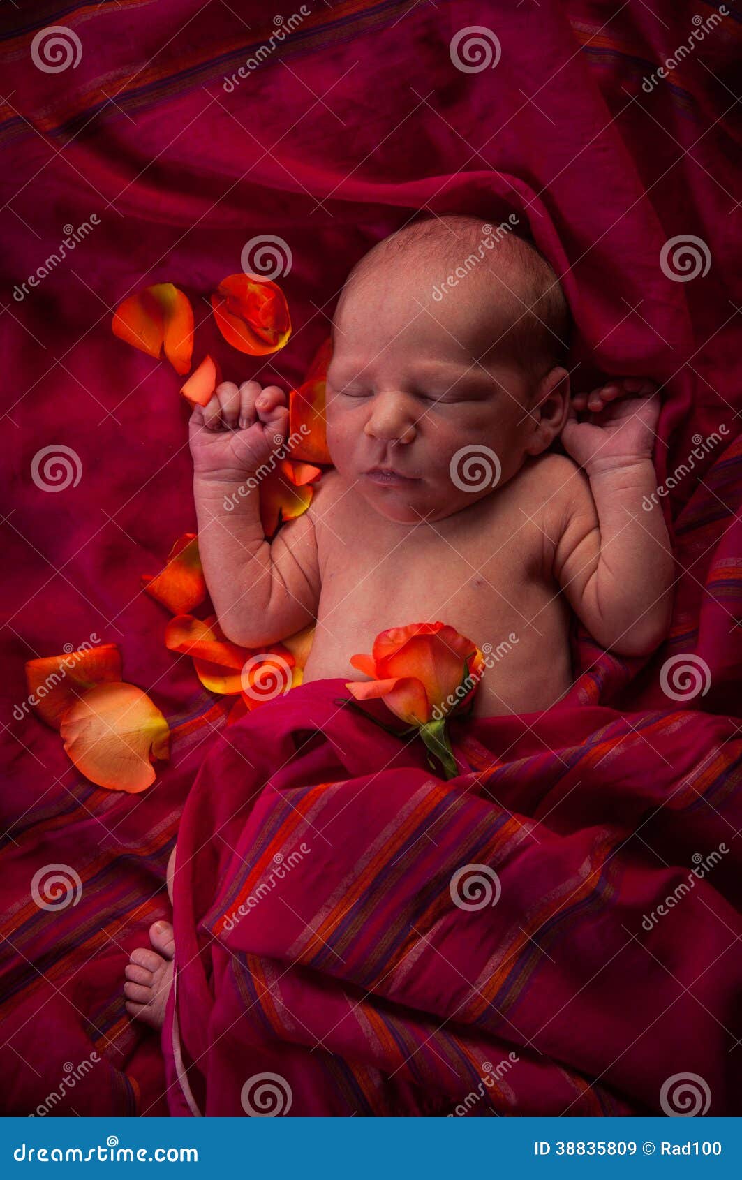 Newborn baby stock image. Image of adorable, portrait - 38835809
