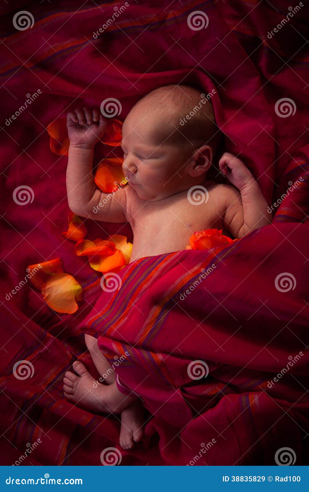 Newborn baby stock image. Image of offspring, face, closeup - 38835829