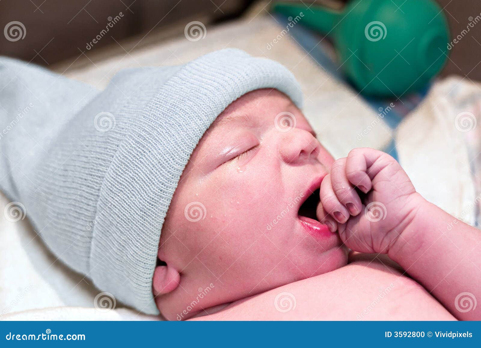 Newborn Baby Resting in Hospital Stock Photo - Image of cute, baby: 3592800