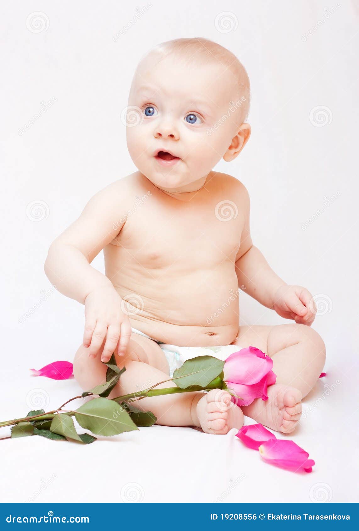 Newborn baby with roses stock photo. Image of head, love - 19208556