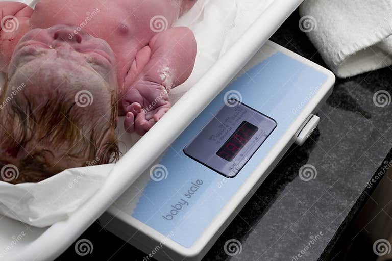 Newborn baby on scale stock image. Image of baby, head - 28033819