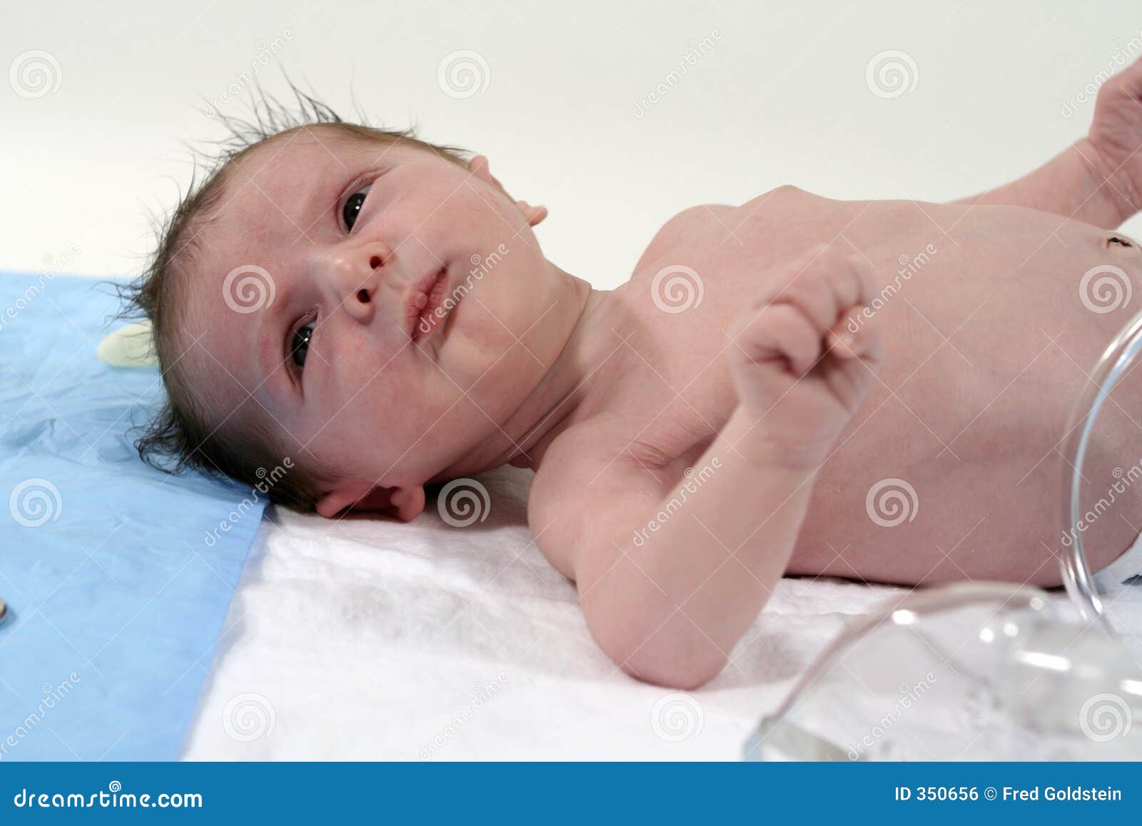 Newborn care stock photo. Image of children, baby, isolated - 350656