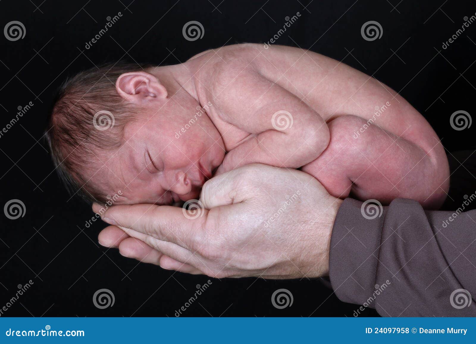 Newborn Cradled in Fathers Hands Stock Photo - Image of sleep, infant ...