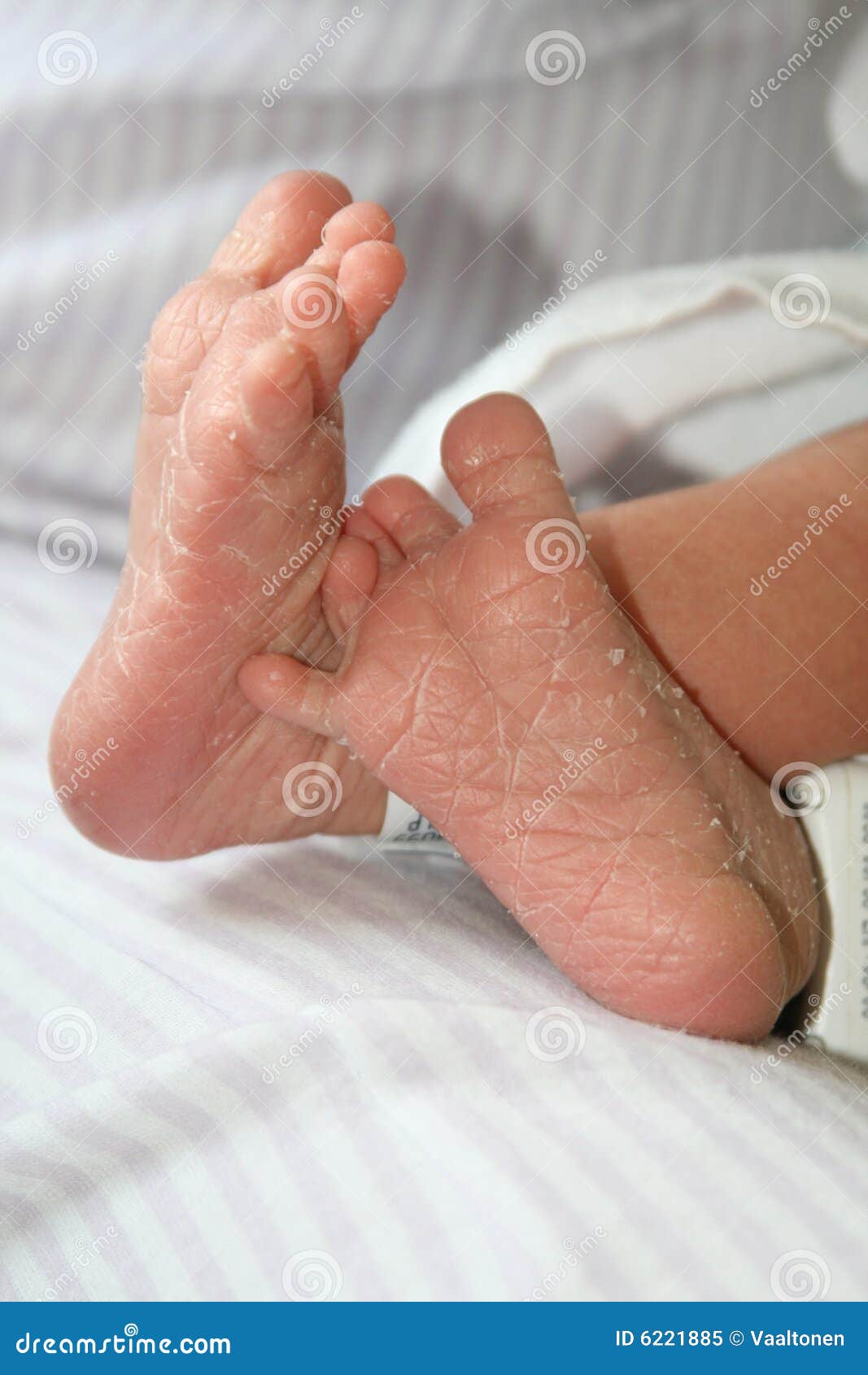 Newborn Feet stock image. Image of newborn, toes, legs - 6221885