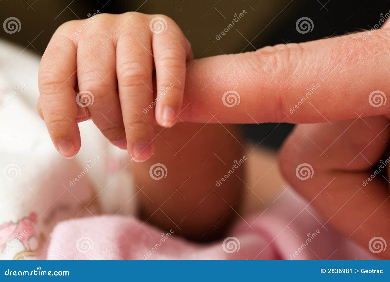 Newborn fingers stock image. Image of person, growth, finger - 2836981