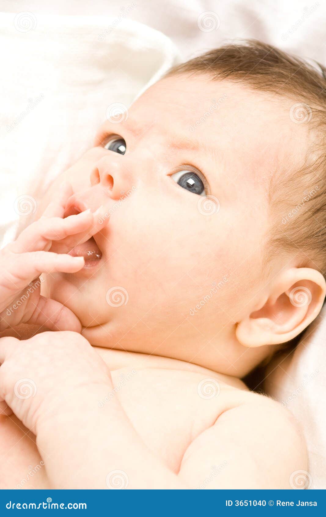 Newborn Girl stock photo. Image of gentle, endearing, concentrate - 3651040