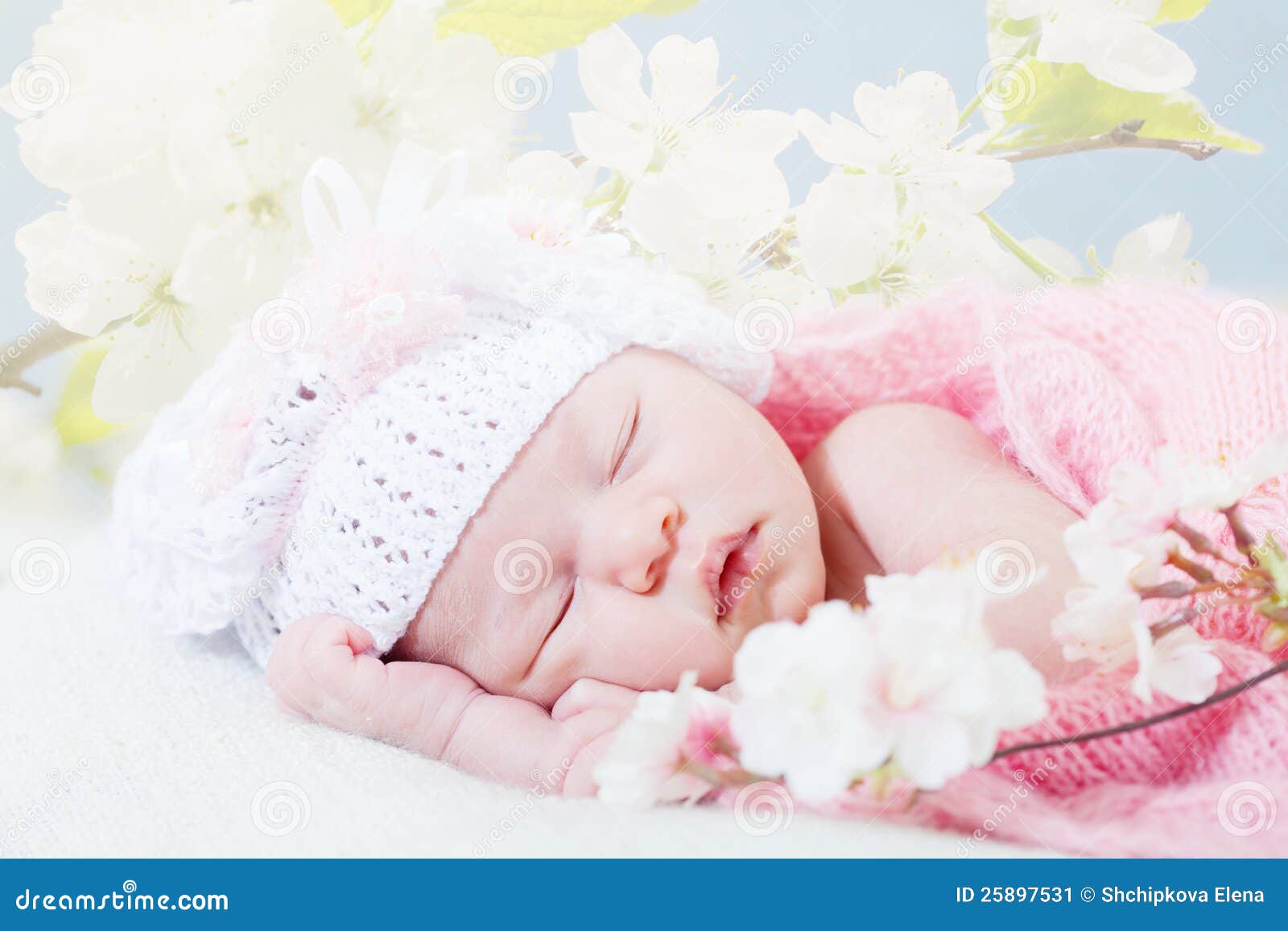 Newborn Girl Sleeps with Spring Flowers Stock Image - Image of baby ...