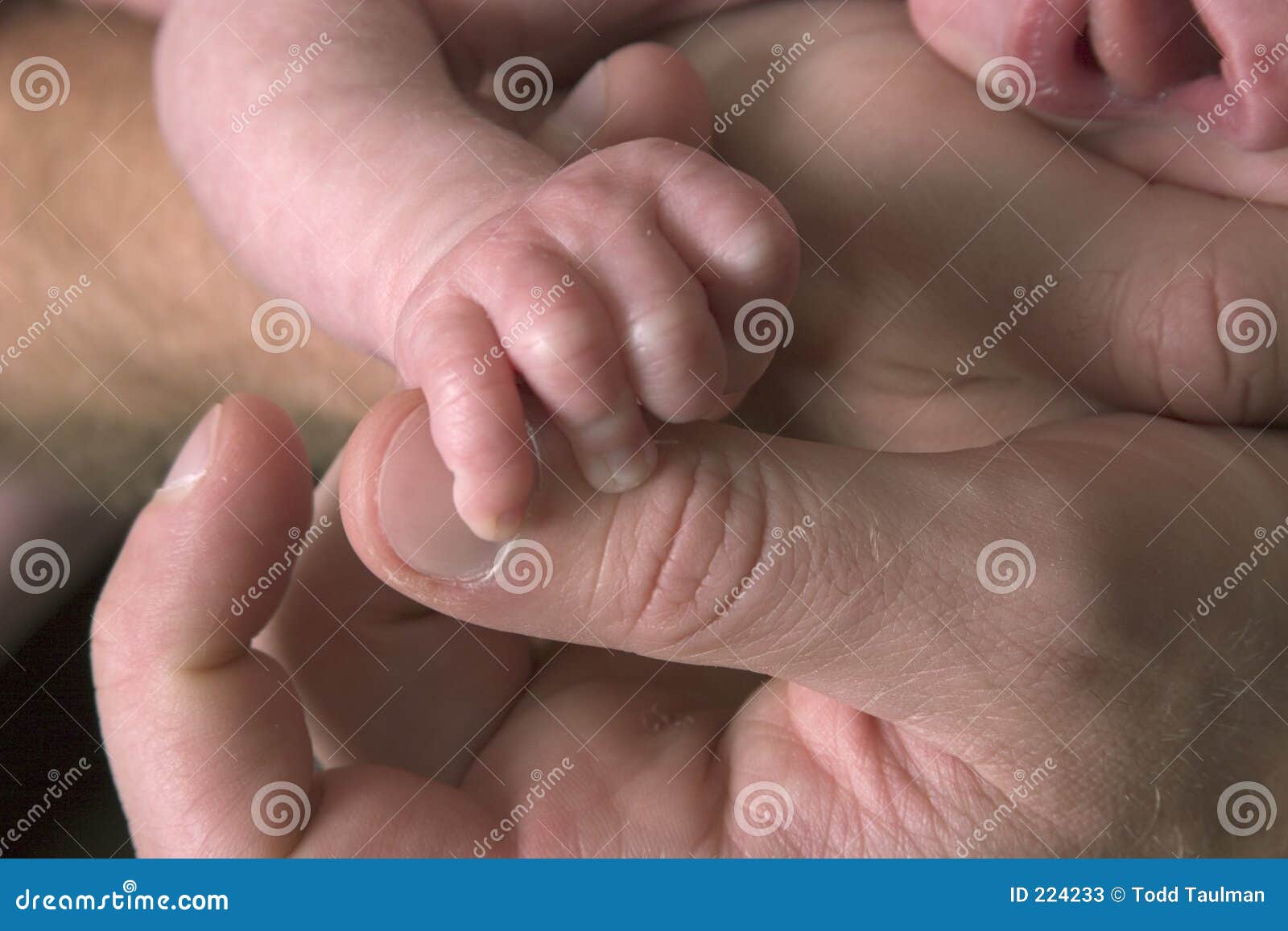 Newborn Grasp stock image. Image of love, tenderness, baby - 224233