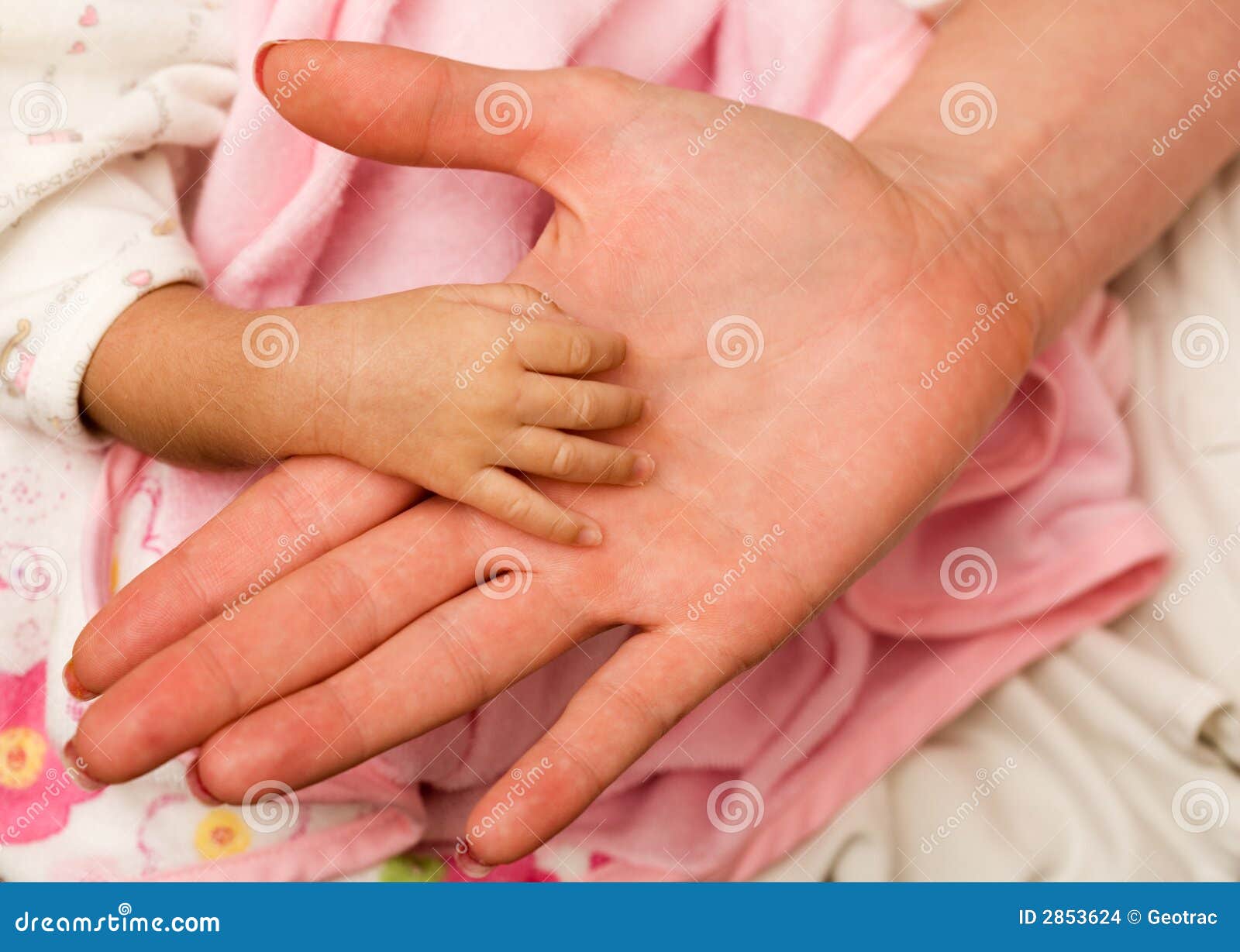 Newborn hand stock photo. Image of girl, thumb, growth - 2853624