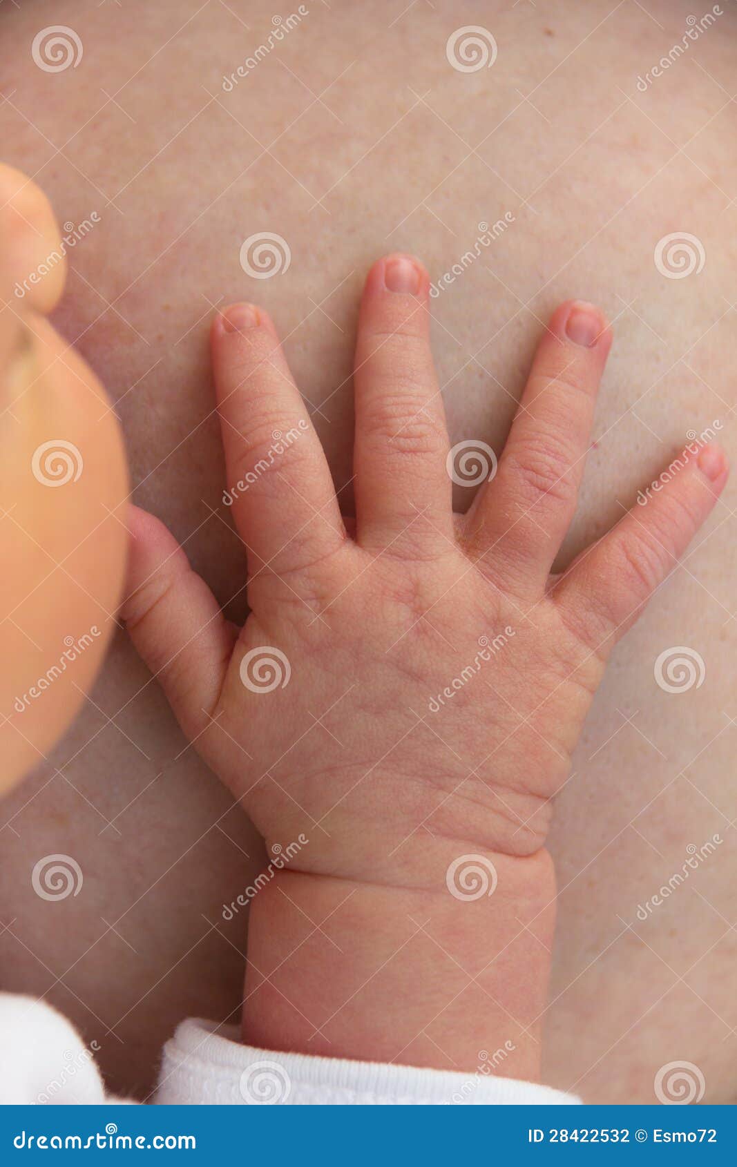 The Newborn Hand Macro, 3 Days After The Birth, Fingers The Palm, Skin ...