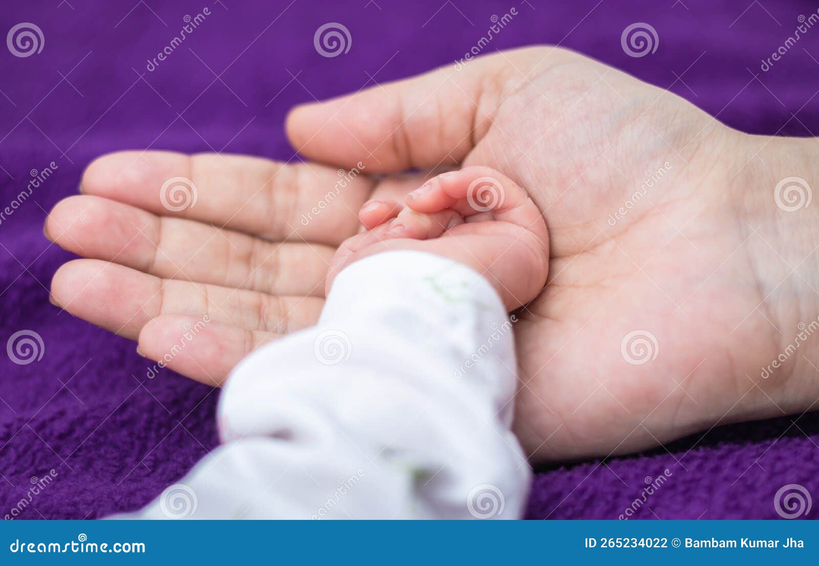 Newborn Hand Laying at Mother Hand from Flat Angle Stock Photo - Image ...