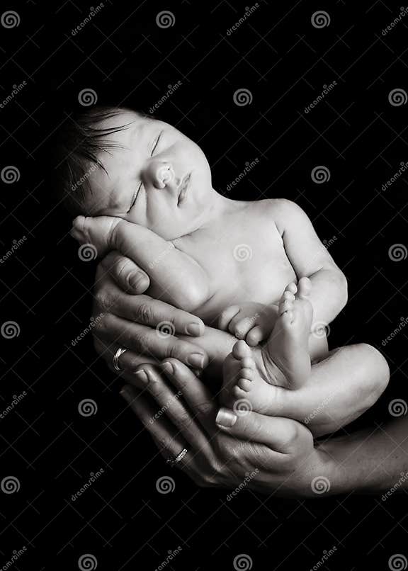Newborn Hands stock image. Image of snug, safe, protected - 21009367