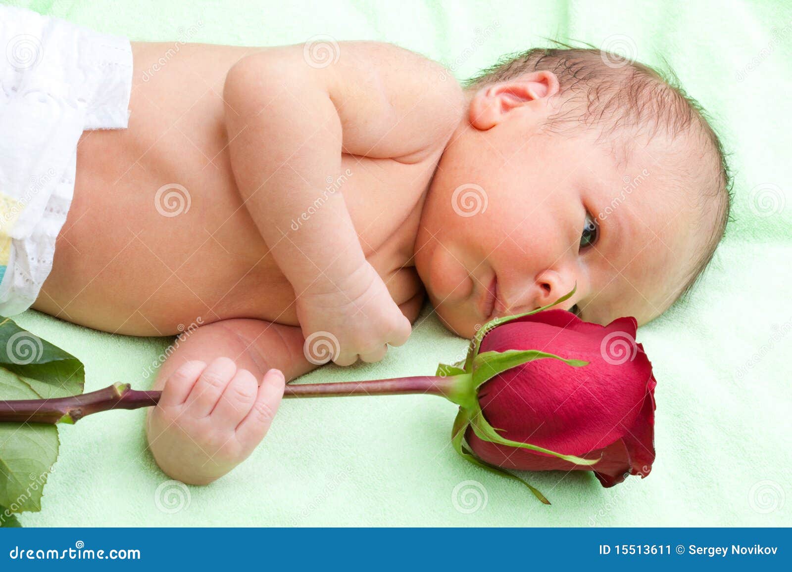 Newborn holding rose stock image. Image of smile, beautiful - 15513611