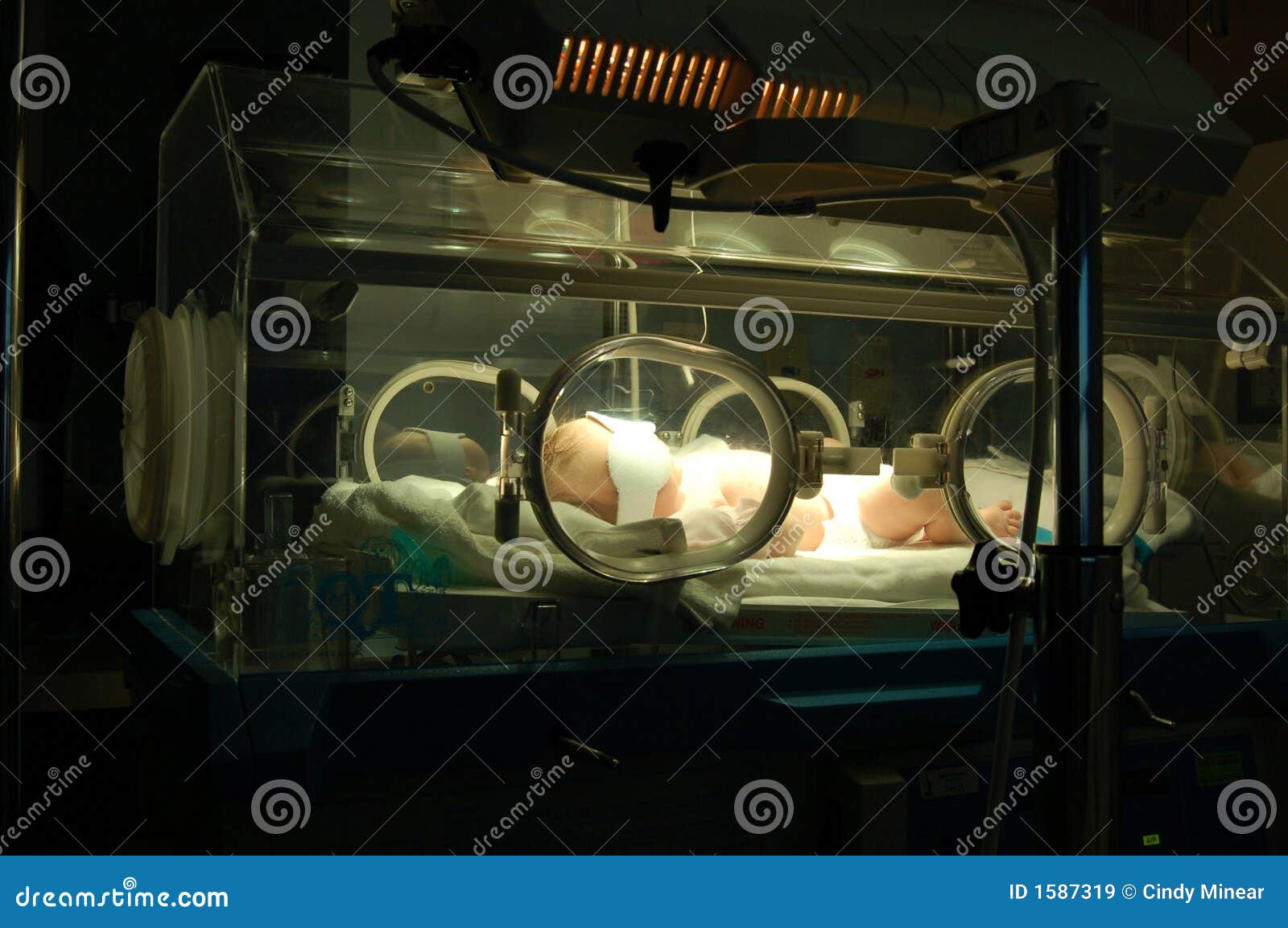 Newborn in Isolette 3 stock image. Image of tiny, bilirubin - 1587319