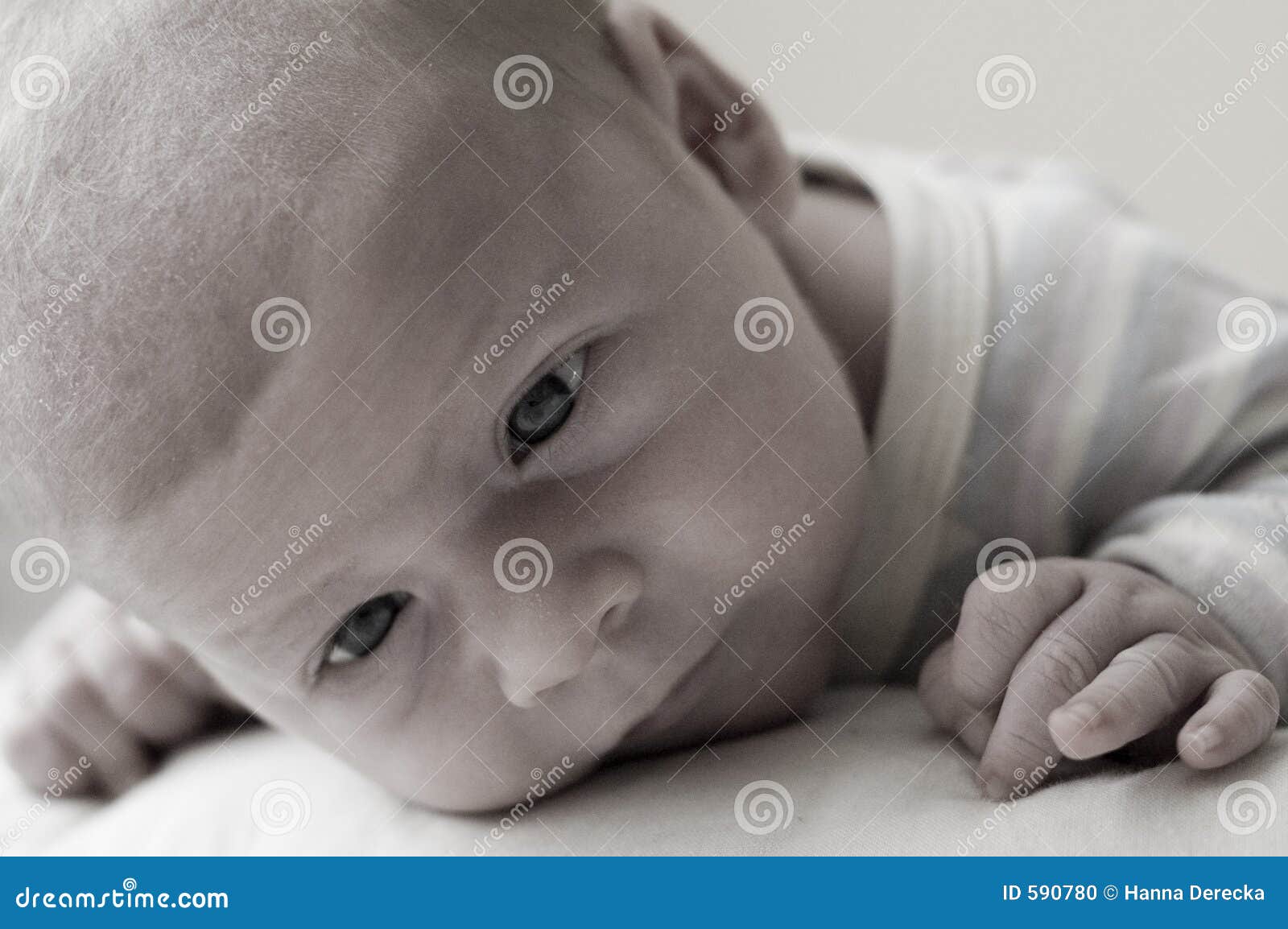 Newborn portrait stock photo. Image of nose, dream, sweet - 590780