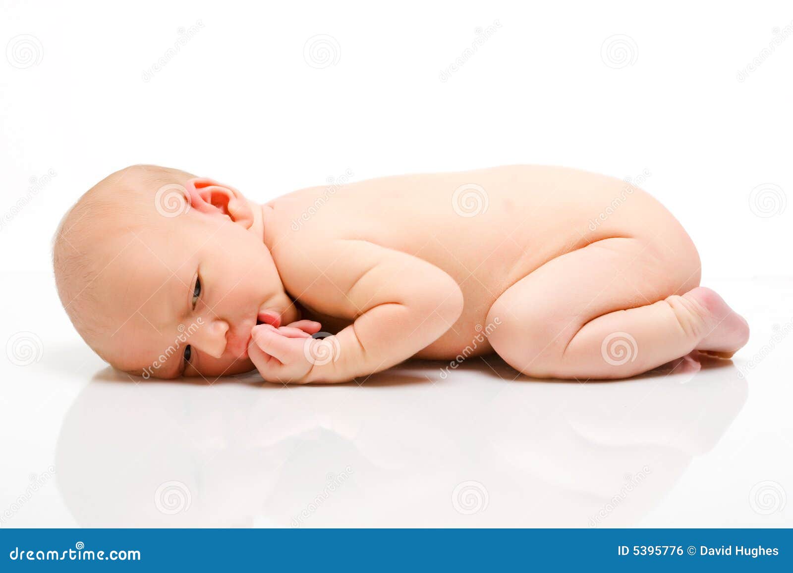 Newborn in repose stock photo. Image of restful, happy - 5395776