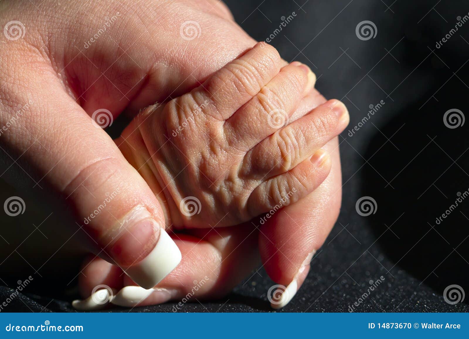 Newborn s Hand stock photo. Image of life, finger, newborn - 14873670