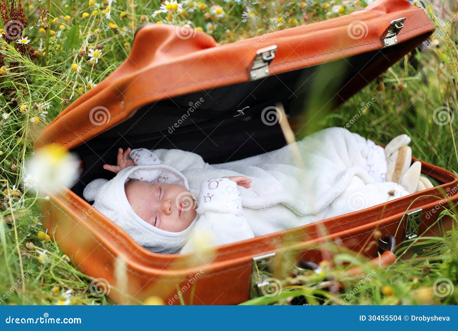 Newborn Sleeping in a Suitcase Stock Photo - Image of grass, infant ...