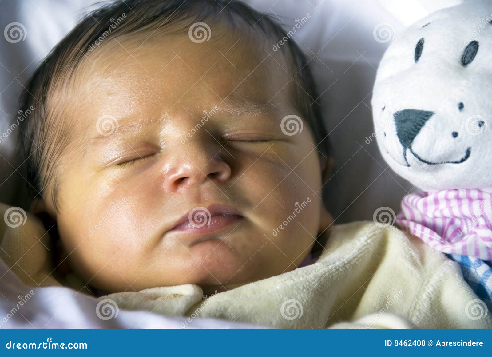 Newborn - Sweet sleeping stock photo. Image of babe, caucasian - 8462400