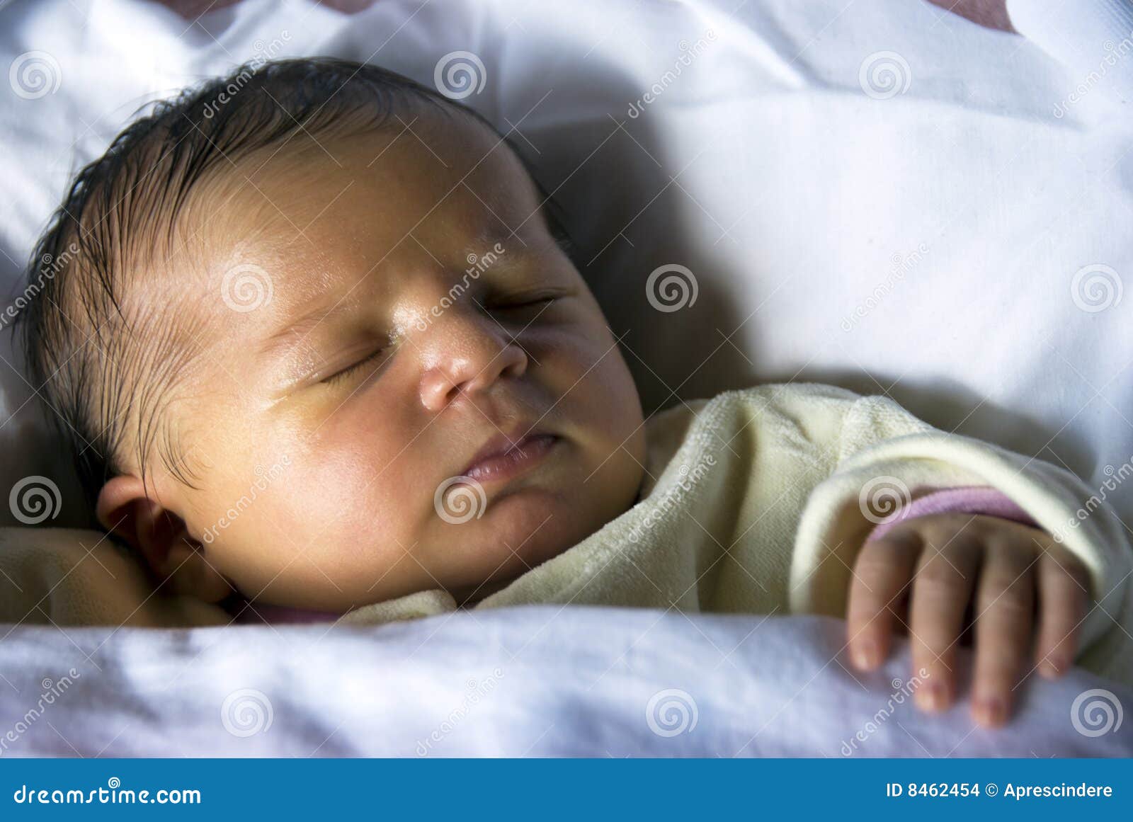 Newborn - Sweet sleeping stock photo. Image of dreaming - 8462454