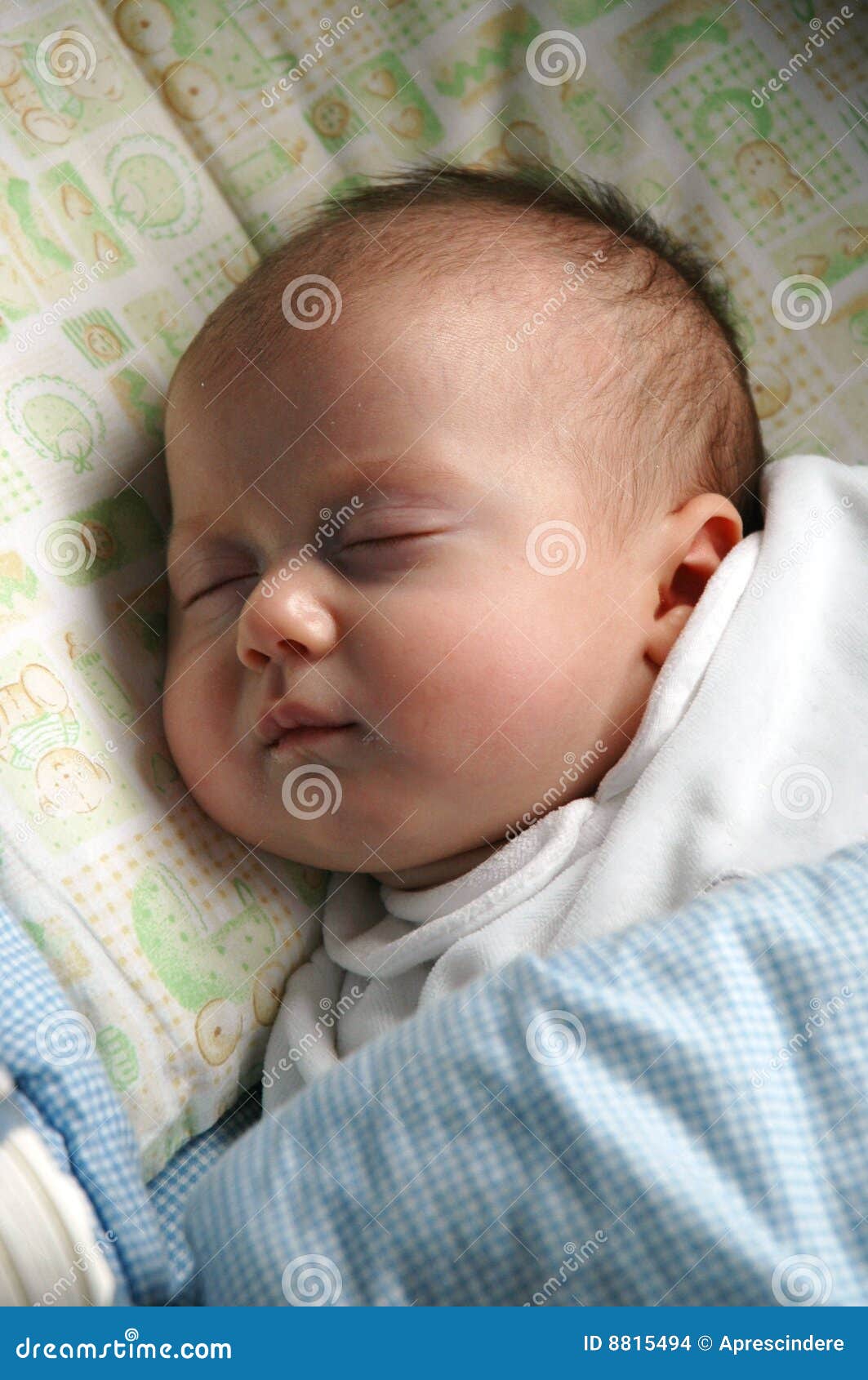 Newborn - Sweet sleeping stock photo. Image of hand, happiness - 8815494