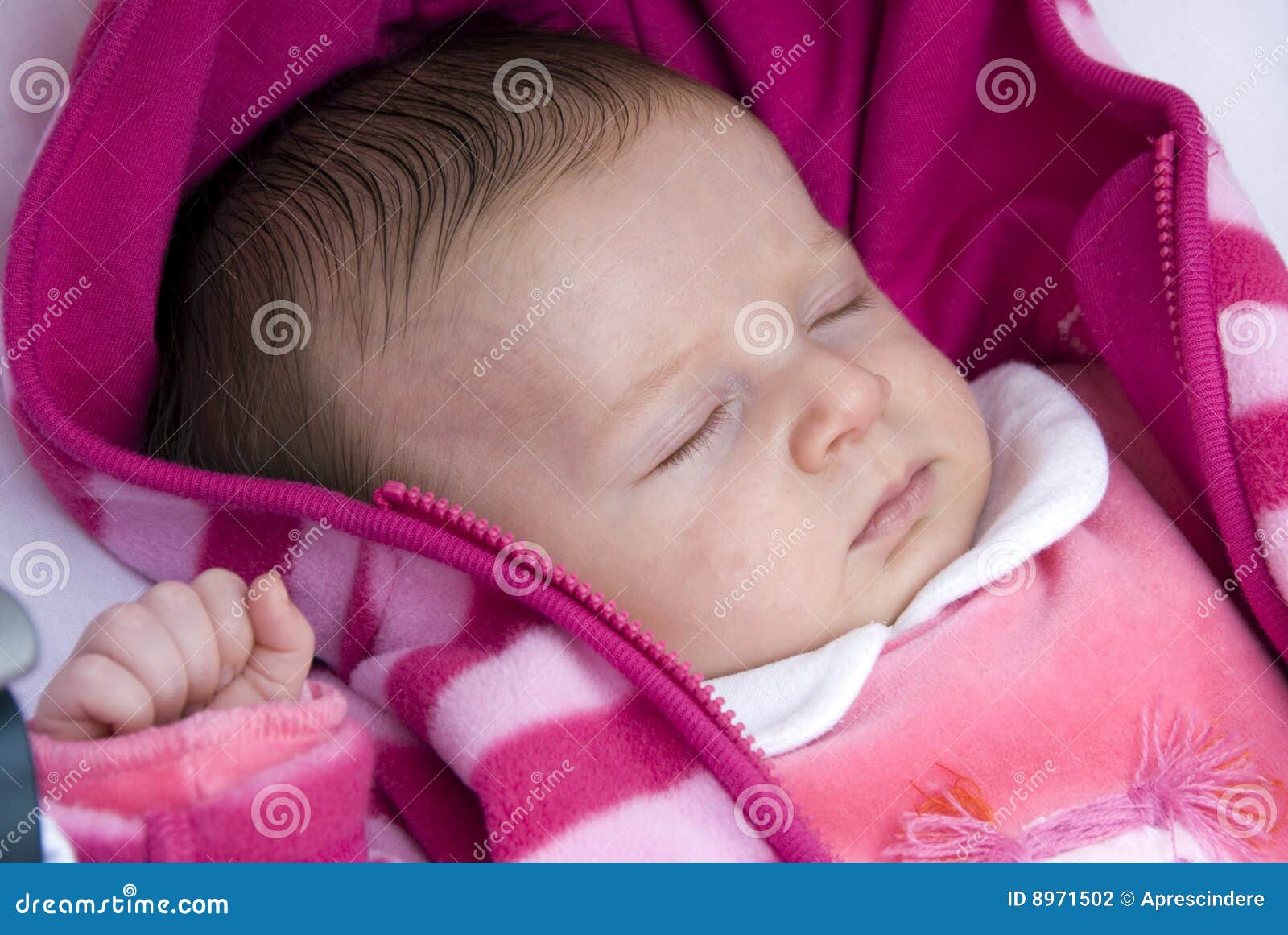 Newborn - Sweet sleeping stock photo. Image of bedtime - 8971502