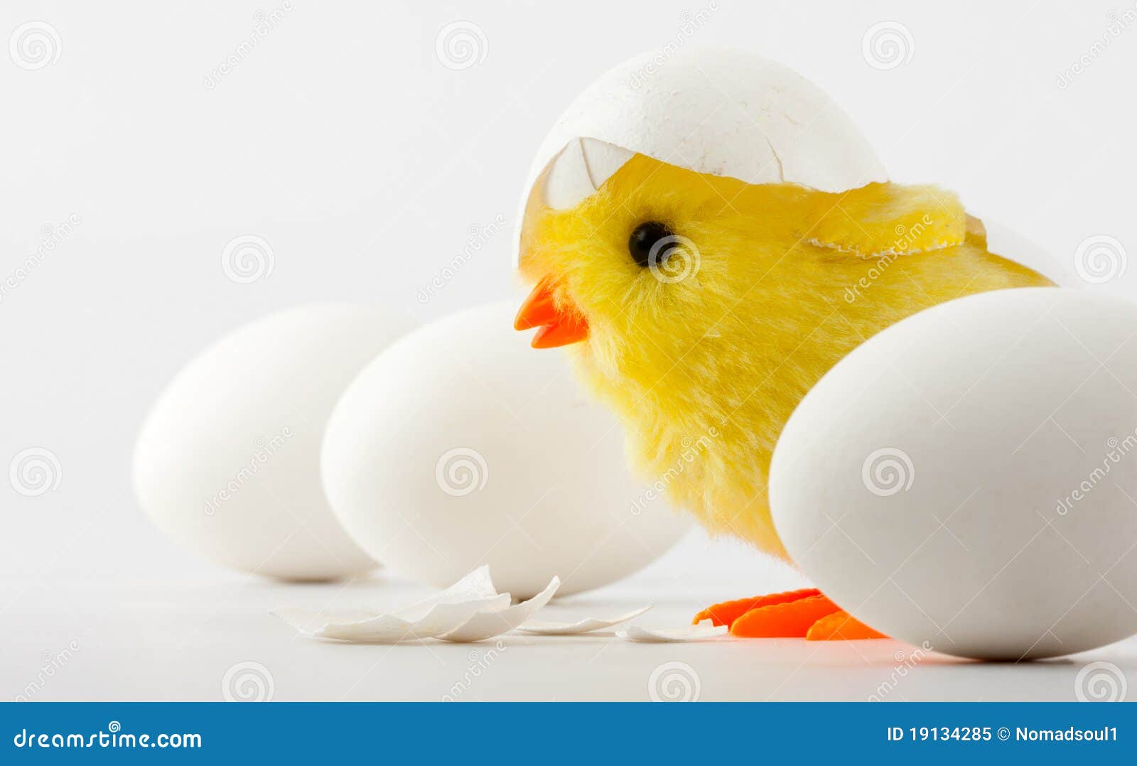 Newborn toy baby chicken stock image. Image of fowl, looking - 19134285