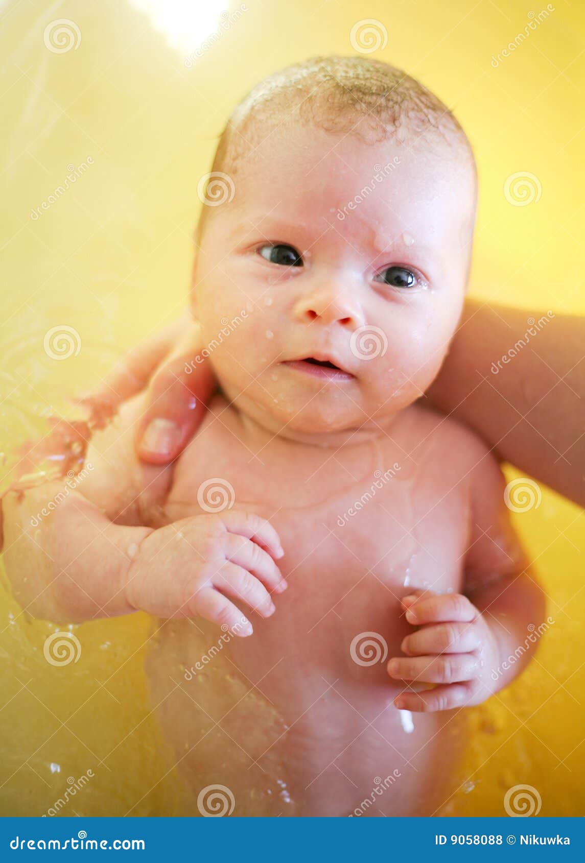 Newborn washing stock photo. Image of beautiful, amazing - 9058088