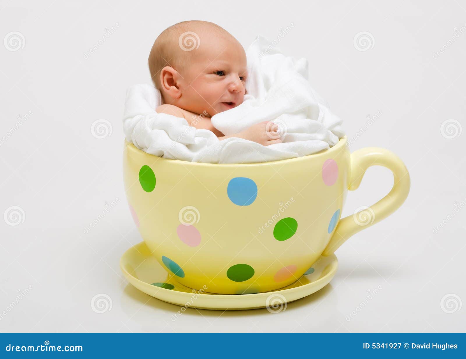 Newborn in a Yellow Spotted Cup Stock Image - Image of small ...