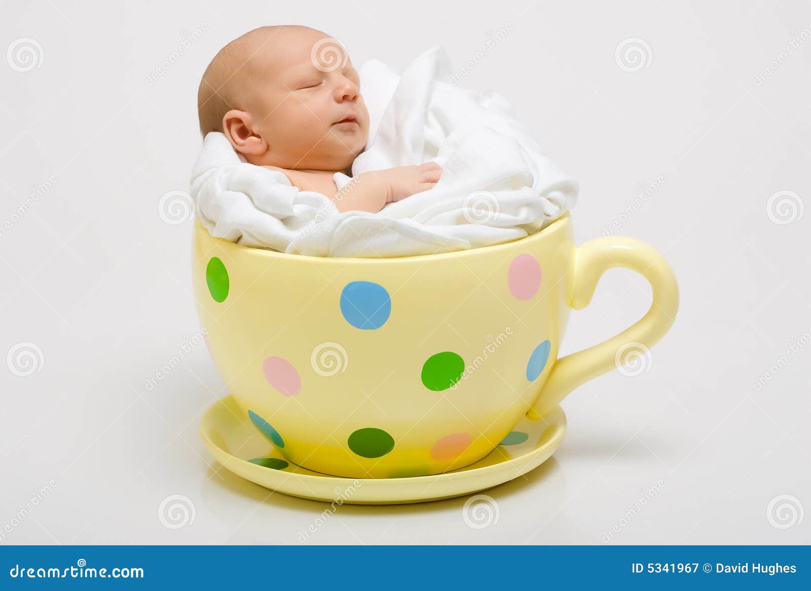 Newborn in a Yellow Spotted Cup Stock Image - Image of dream, innocence ...
