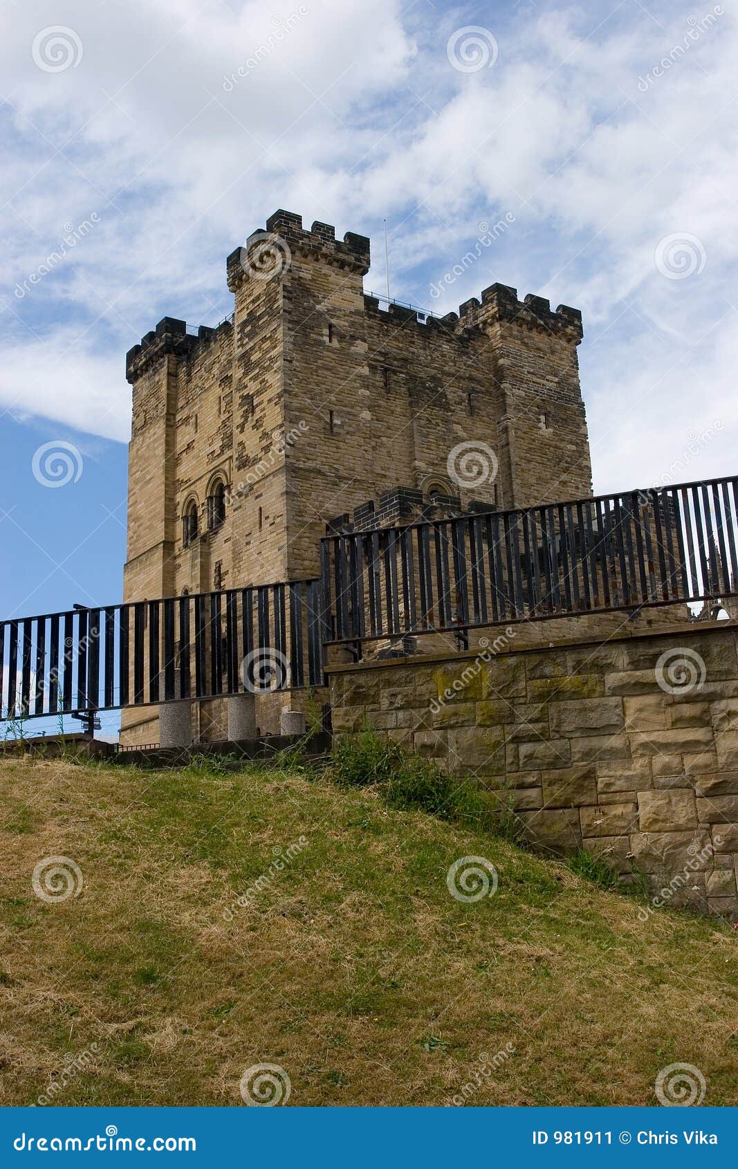Newcastle castle stock image. Image of fence, hill, landmark - 981911