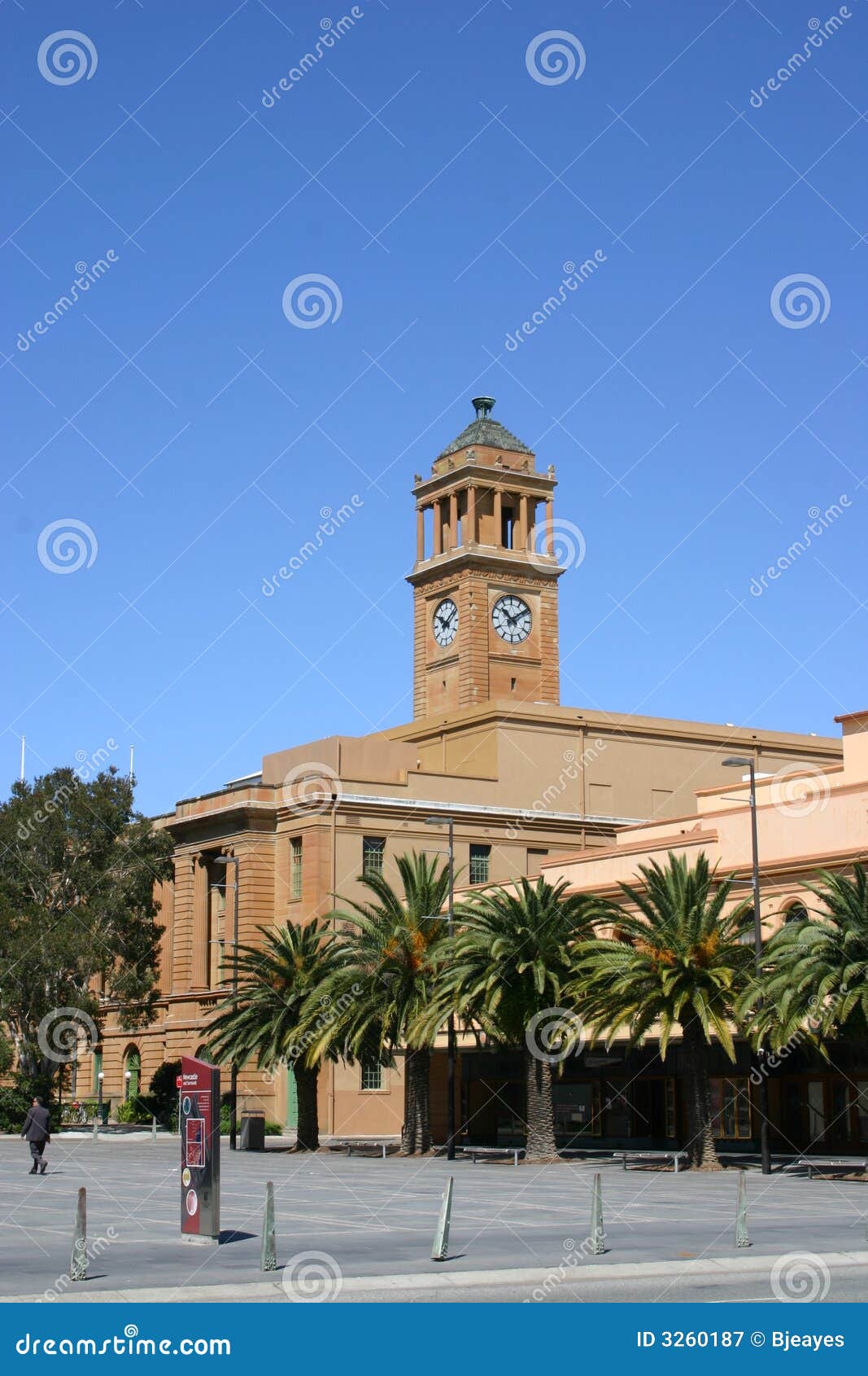 Newcastle Town Hall stock image. Image of hall, south - 3260187