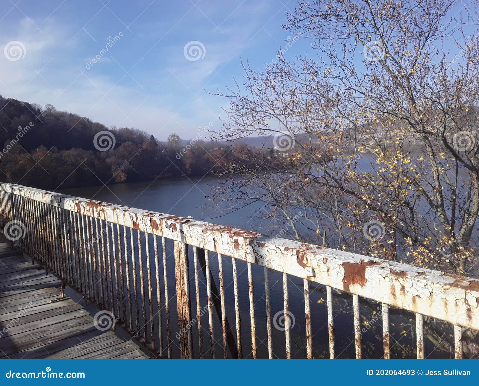 Newell Bridge and Ohio River in Fall Stock Image - Image of fall, river ...